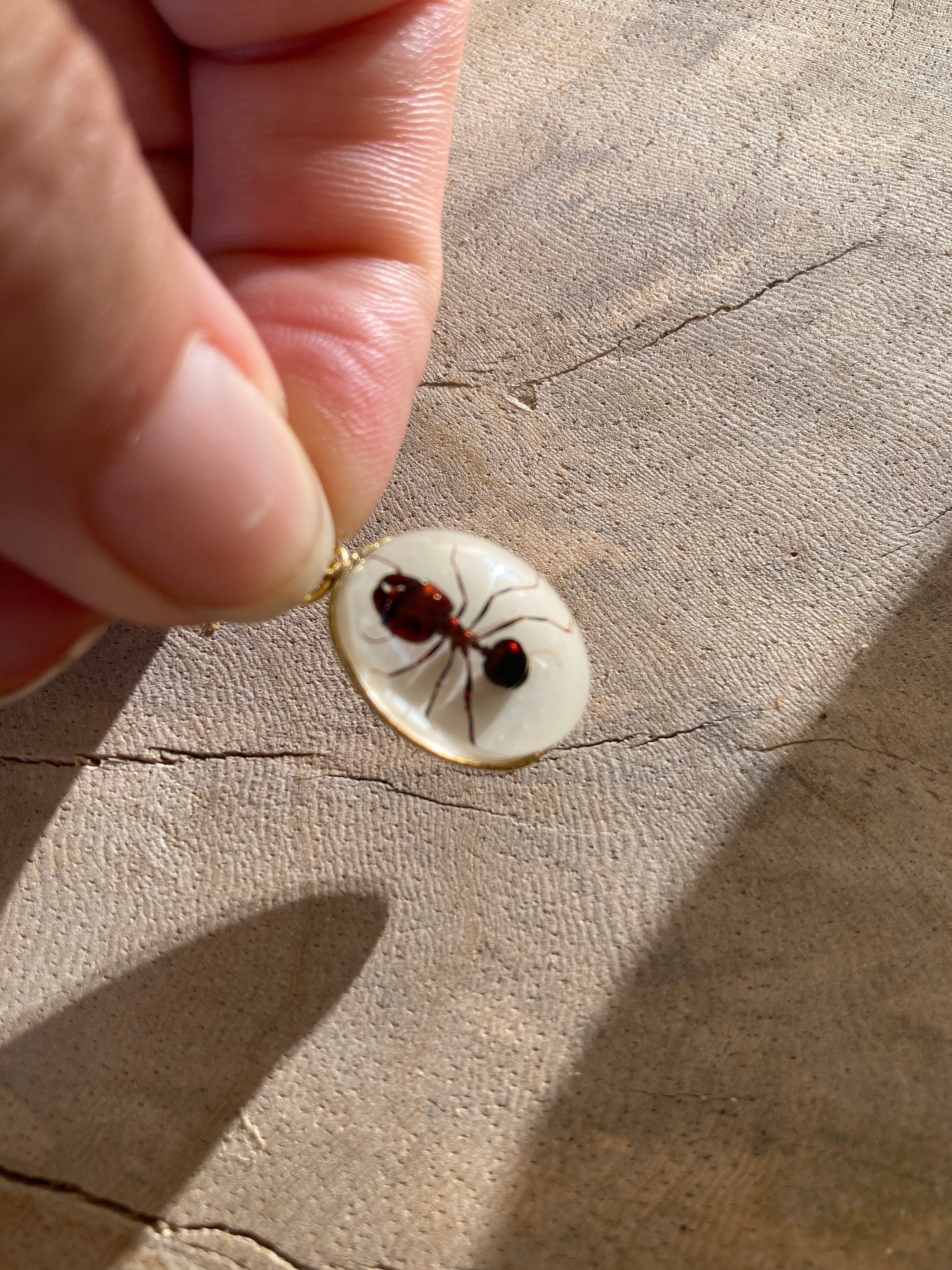 Real Scorpion Beetle Ant Spider Pendant Necklace Stainless Steel ...