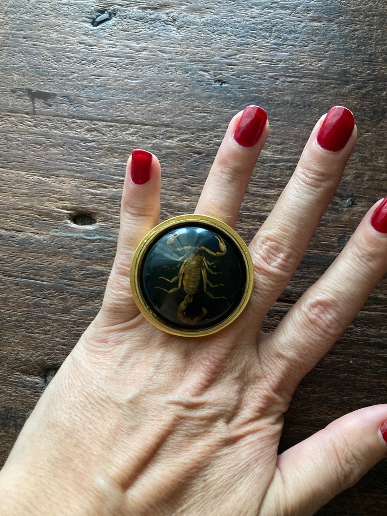 Real Scorpion in Resin Ring Adjustable Black Scorpio Zodiac Halloween ...
