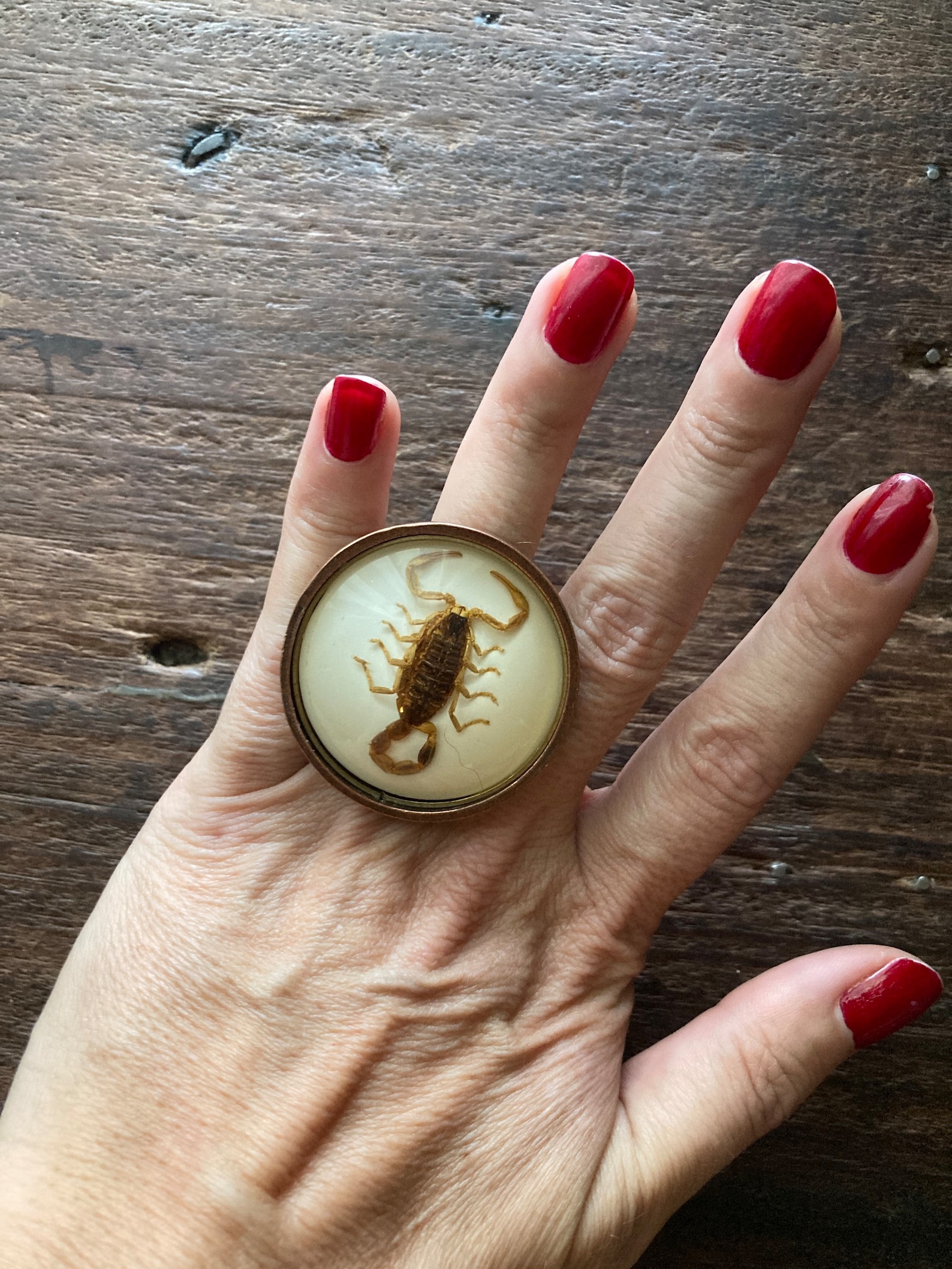 Real Scorpion in Resin Ring Adjustable Black Scorpio Zodiac Halloween ...