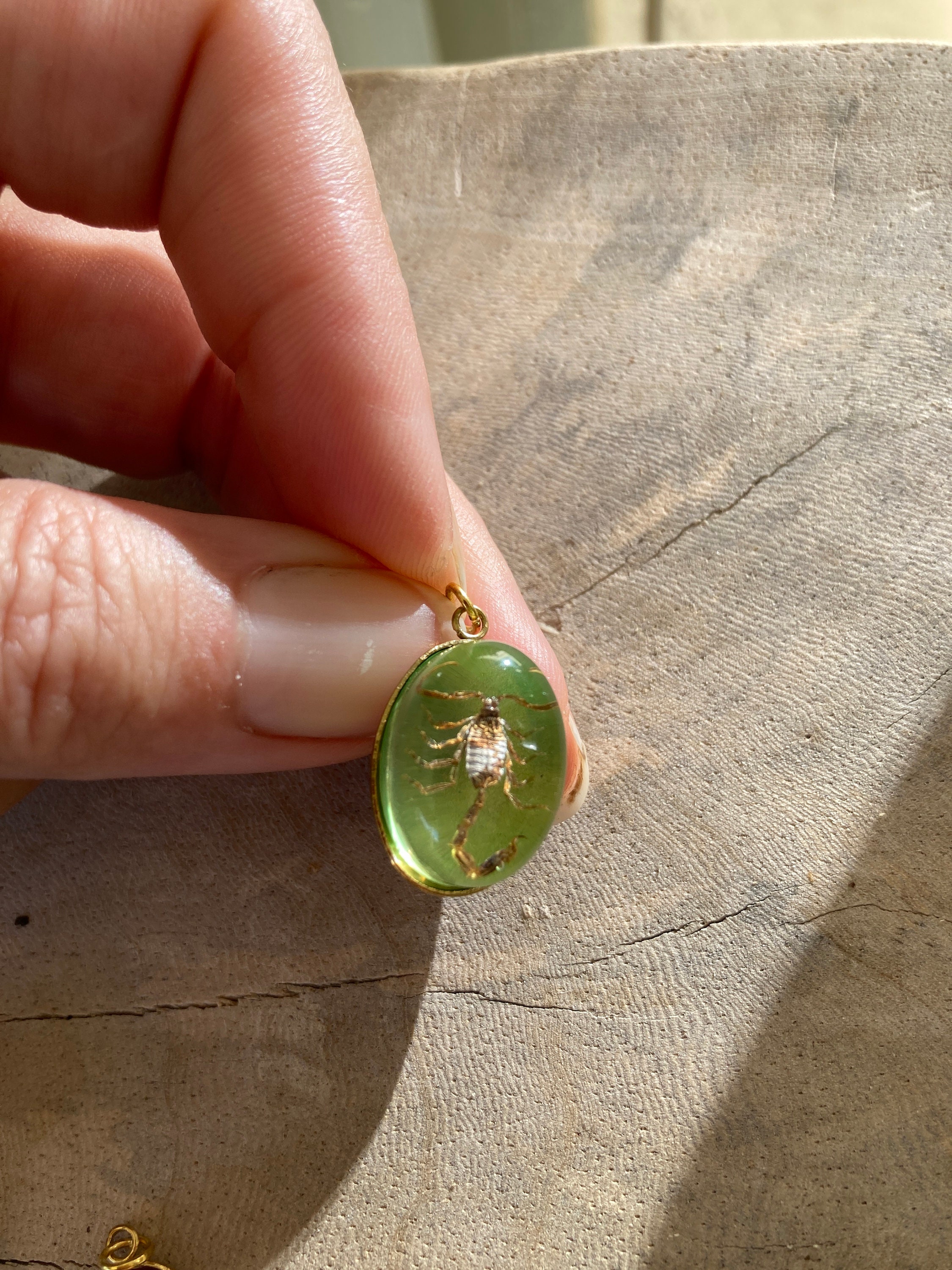 Real Scorpion Beetle Ant Spider Pendant Necklace Stainless Steel ...