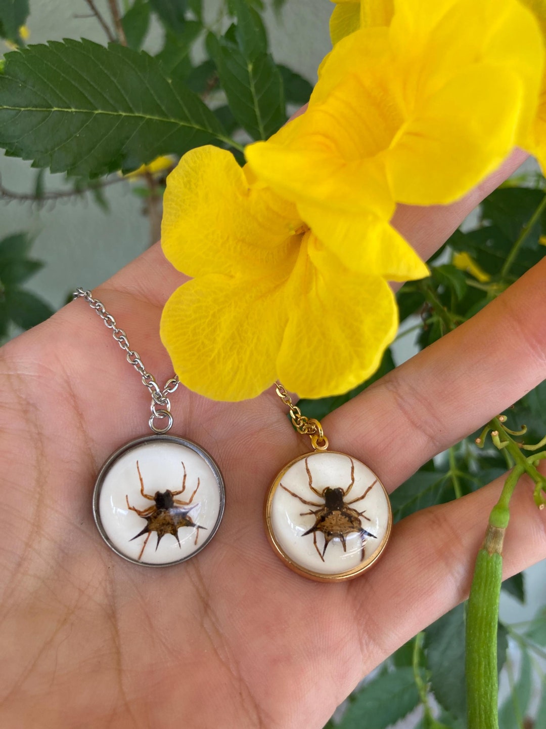 Real Spider Necklace Pendant Orb Weaver Crab Spider Arachnid Goth ...