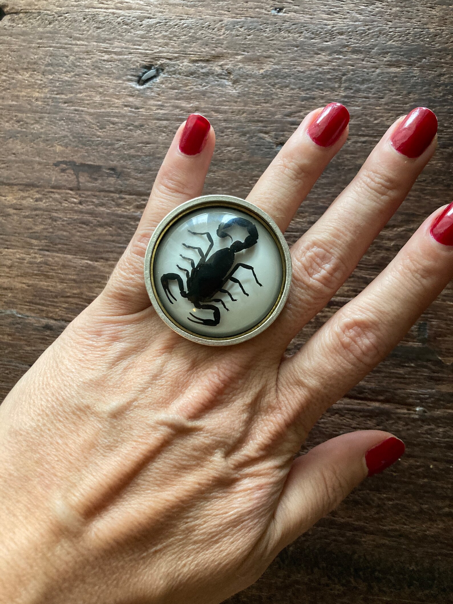 Real Scorpion in Resin Ring Adjustable Black Scorpio Zodiac Halloween ...