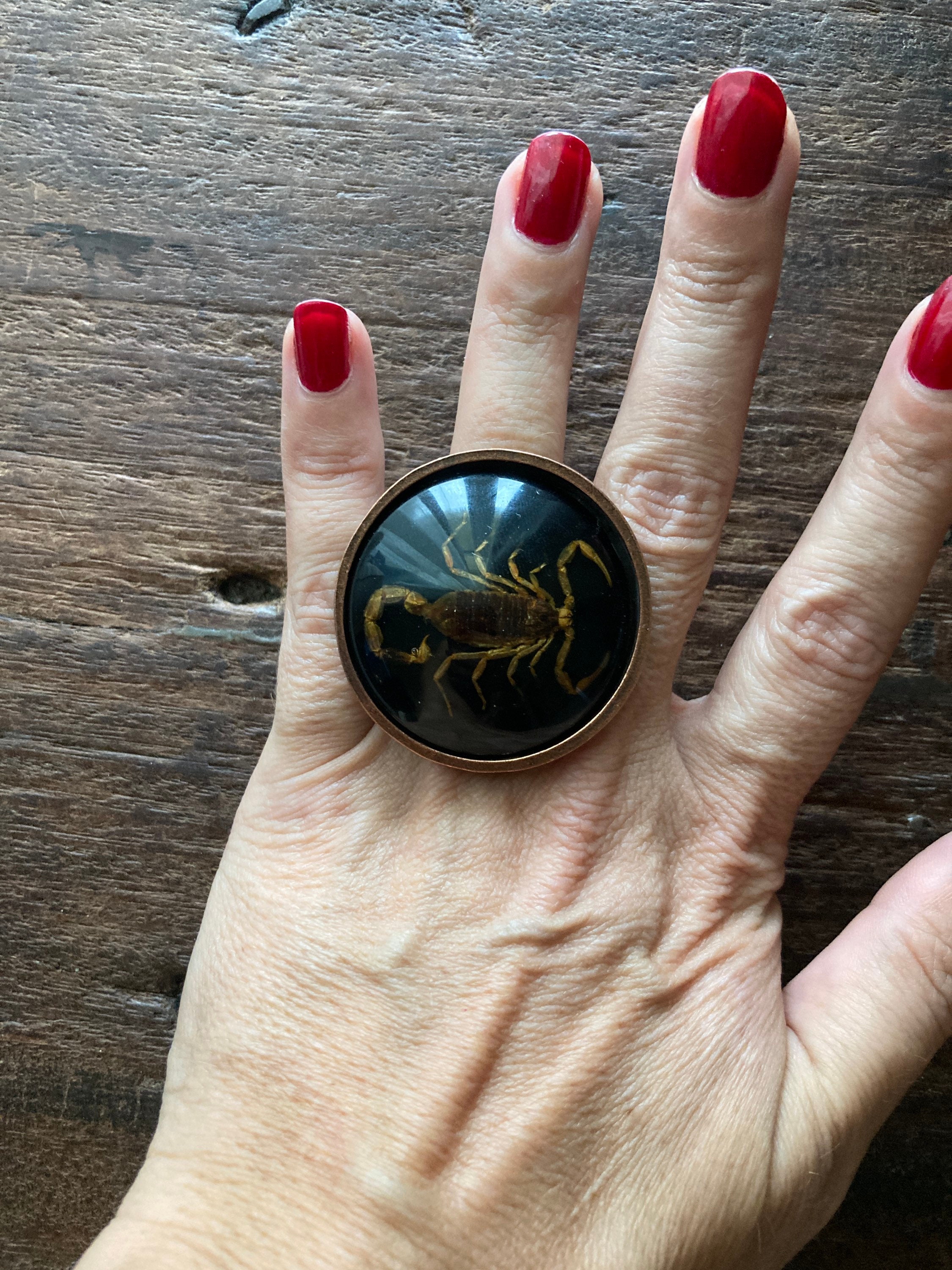 Real Scorpion in Resin Ring Adjustable Black Scorpio Zodiac Halloween Entomology Large Scorpions ...