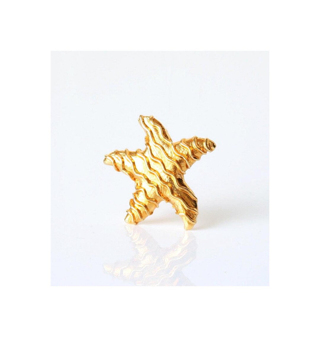 VERIFIED Celine Star Fish Golden Brooch - Etsy