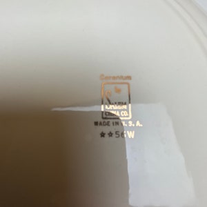 Geranium by Salem China Company SET of 5 Dinner Plates 10" Diameter ...