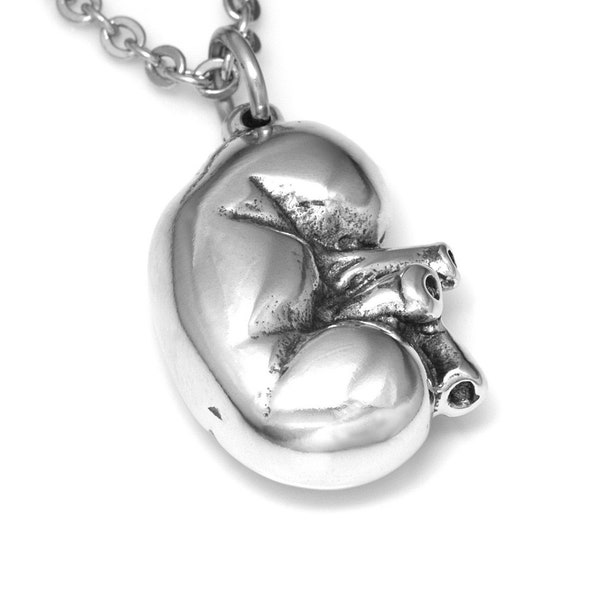 Anatomical Kidney Jewelry - Etsy