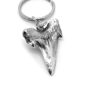 Metal Shark Tooth Keychain in Pewter, Handmade Animal Fang Key Ring - Etsy