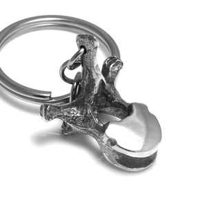 Human Vertebra Keychain in Pewter, Thoracic Anatomy, Chiropractor Gift ...
