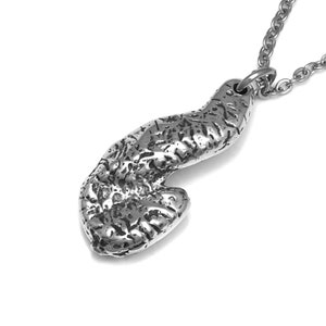 Anatomical Pancreas Necklace, Digestive System Pendant, Diabetes ...