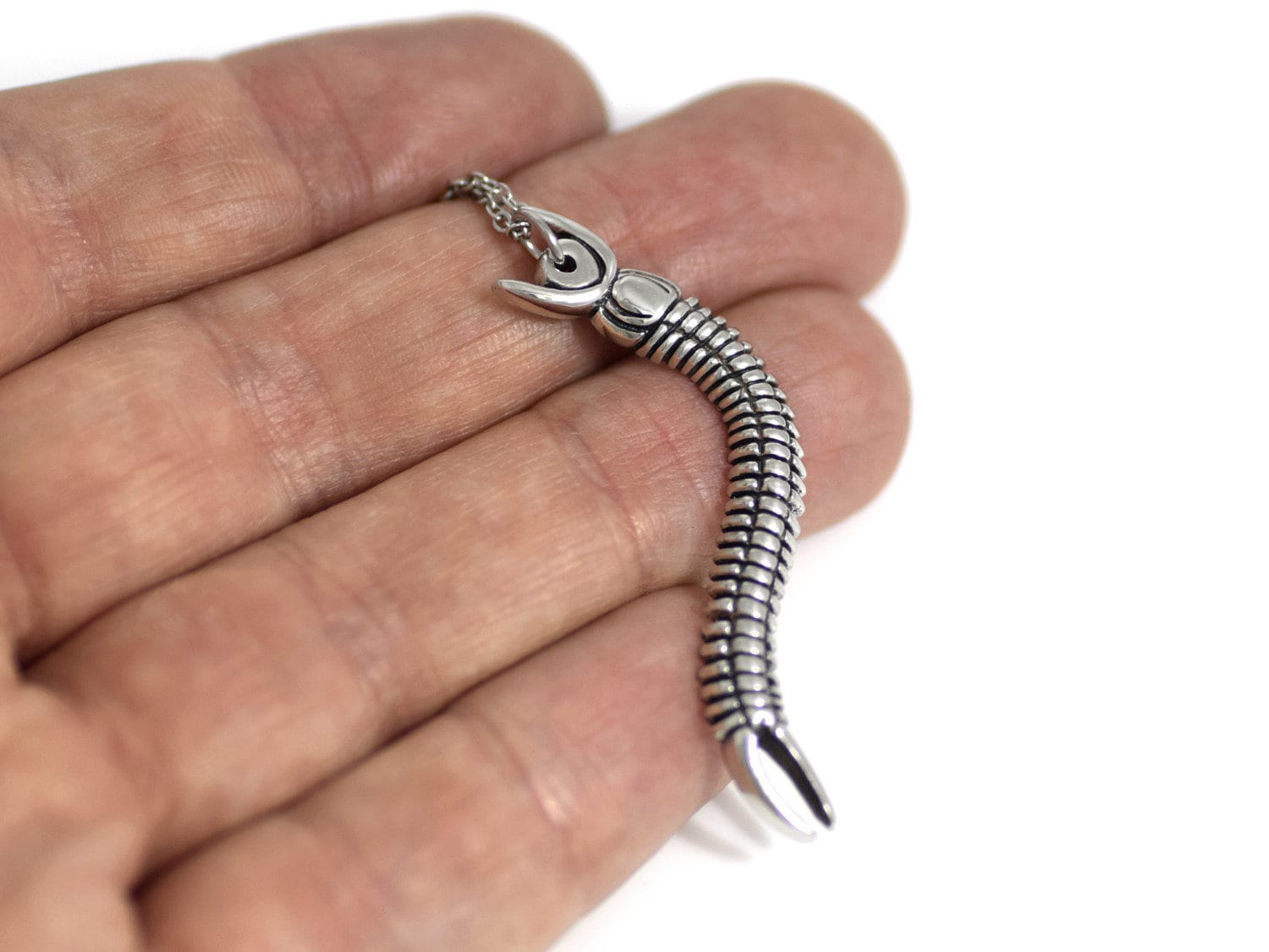 Centipede Necklace Arthropod Pendant Myriapoda Charm Animal | Etsy