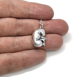 Sterling Silver Human Kidney Necklace, Anatomy Jewelry - Etsy
