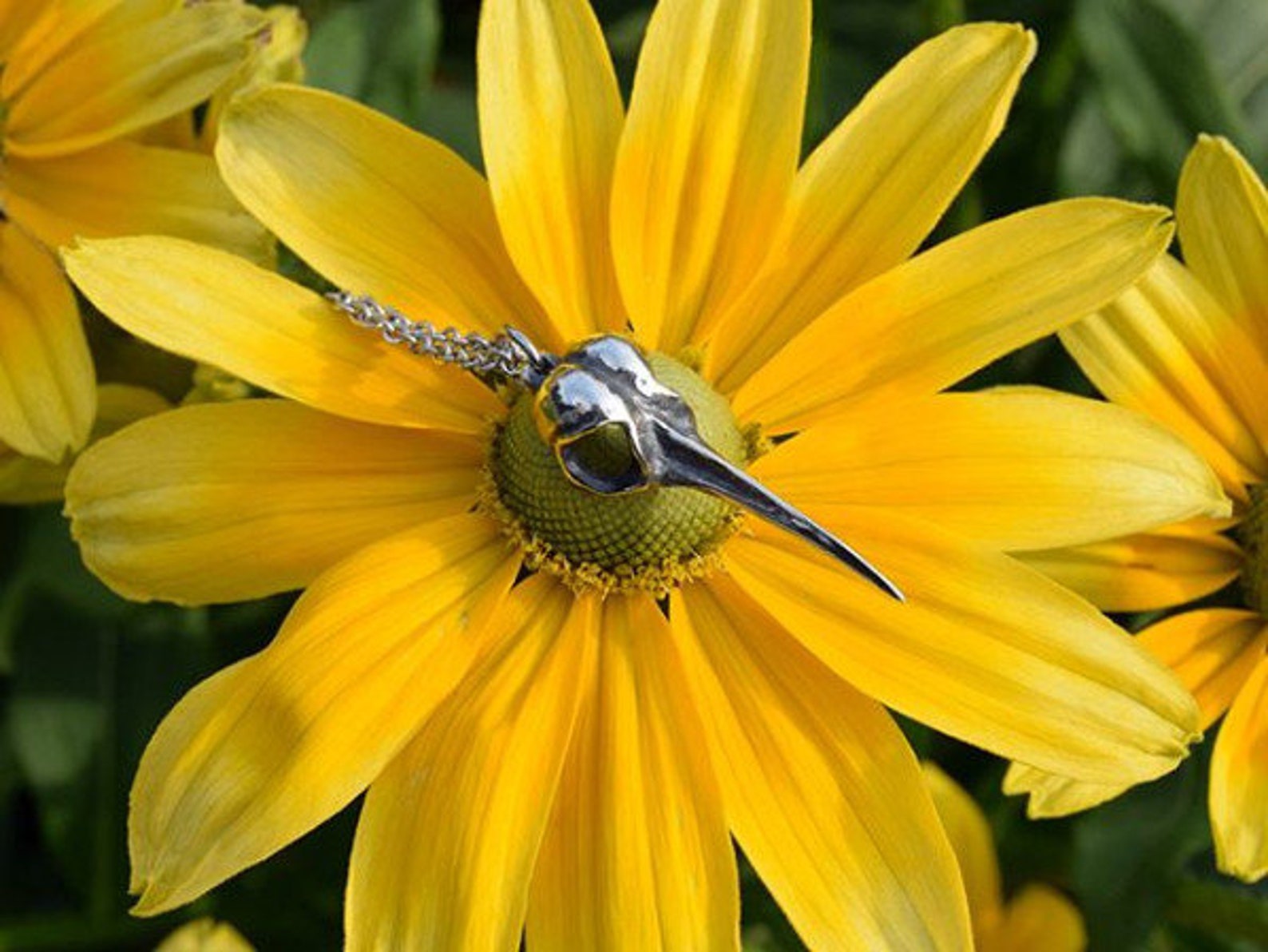 Hummingbird Skull Pendant Necklace Bird Charm Jewelry | Etsy