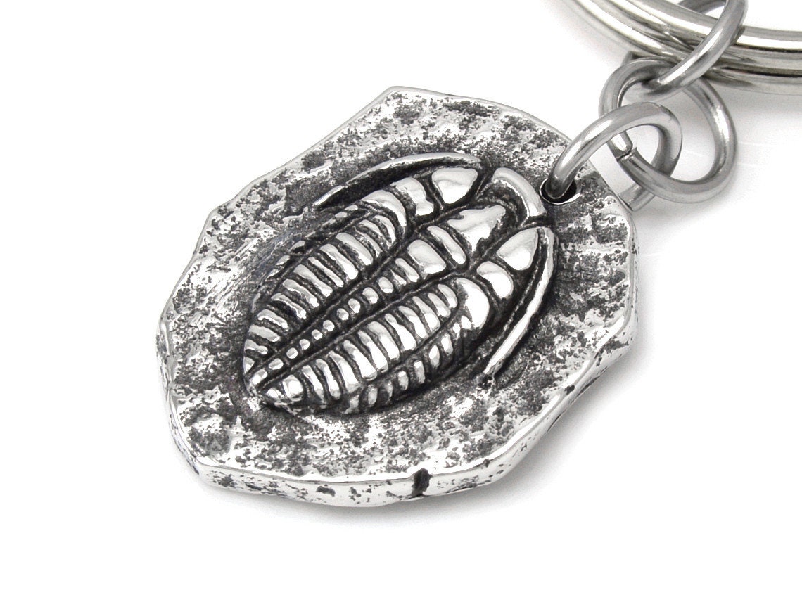 Trilobite Fossil Keychain Arthropod Archaeology Key Holder in - Etsy