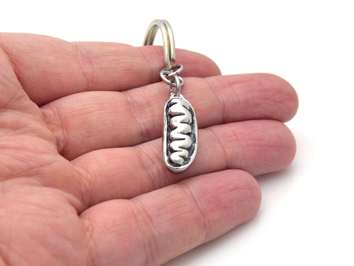 Mitochondrion Keychain Biology Science Handmade Mitochondria | Etsy