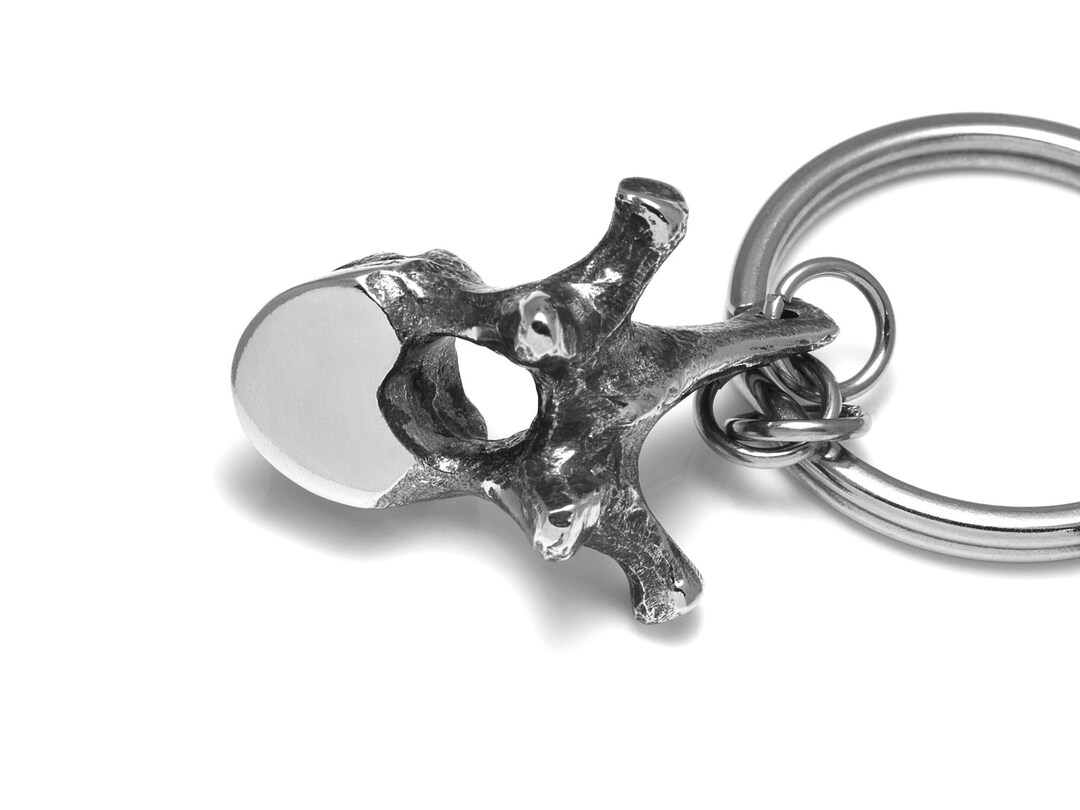 Human Vertebra Keychain in Pewter, Thoracic Anatomy, Chiropractor Gift ...