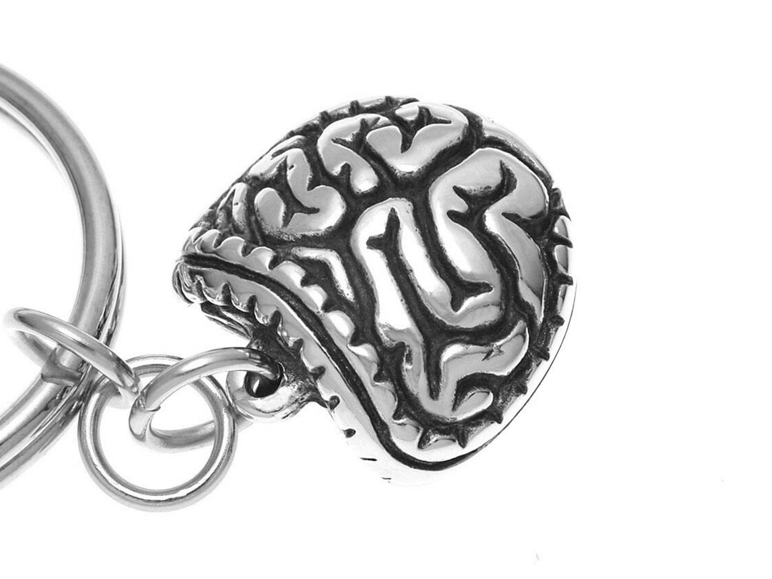 Intestines Keychain, Digestive Keyring Anatomical Key Holder in Pewter ...