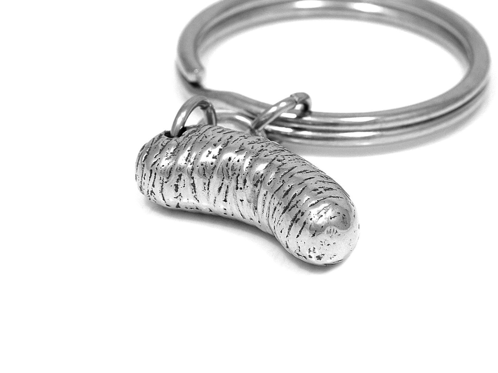 Bacteria Keychain, Bacterium Microorganism Charm, E. Coli Bacteriology ...