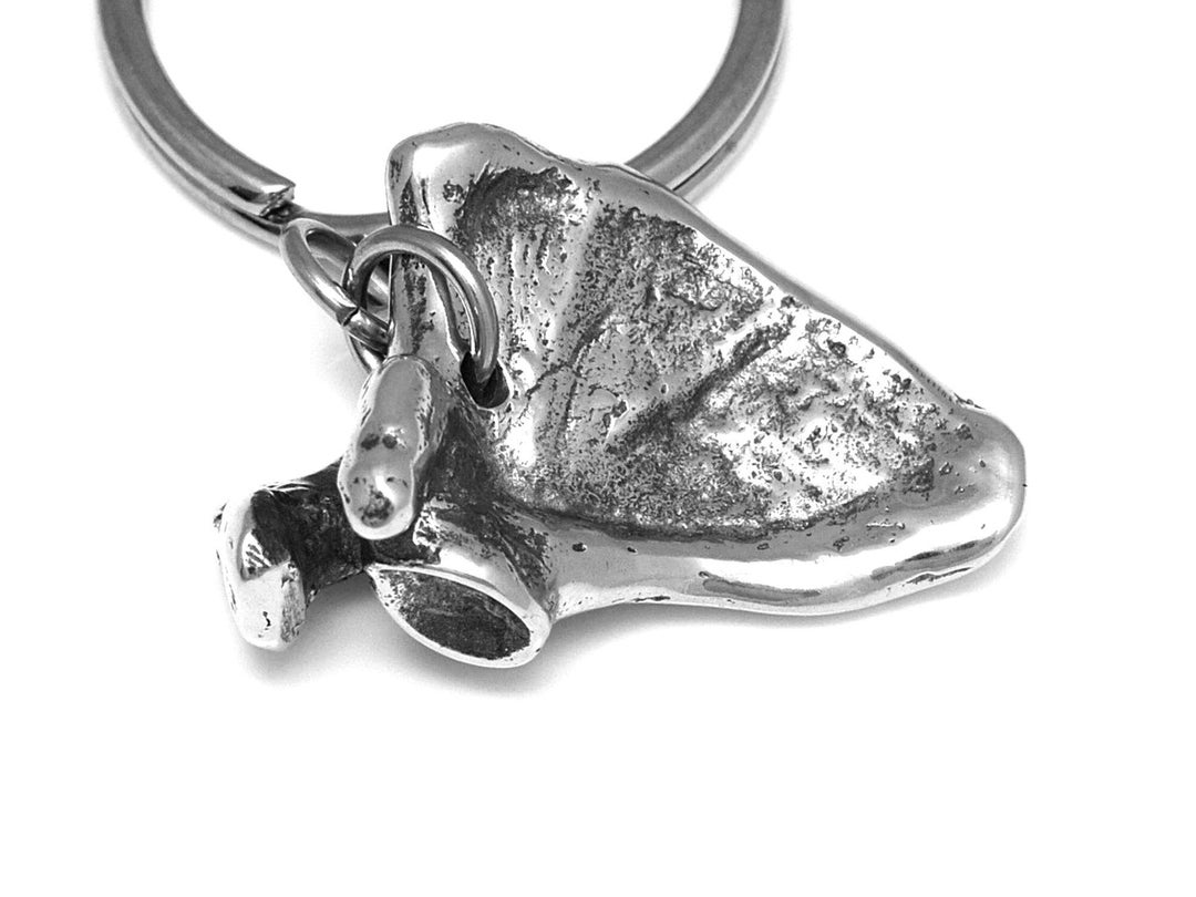 Scapula Keychain, Anatomical Human Shoulder Bone Key Chain in Pewter - Etsy