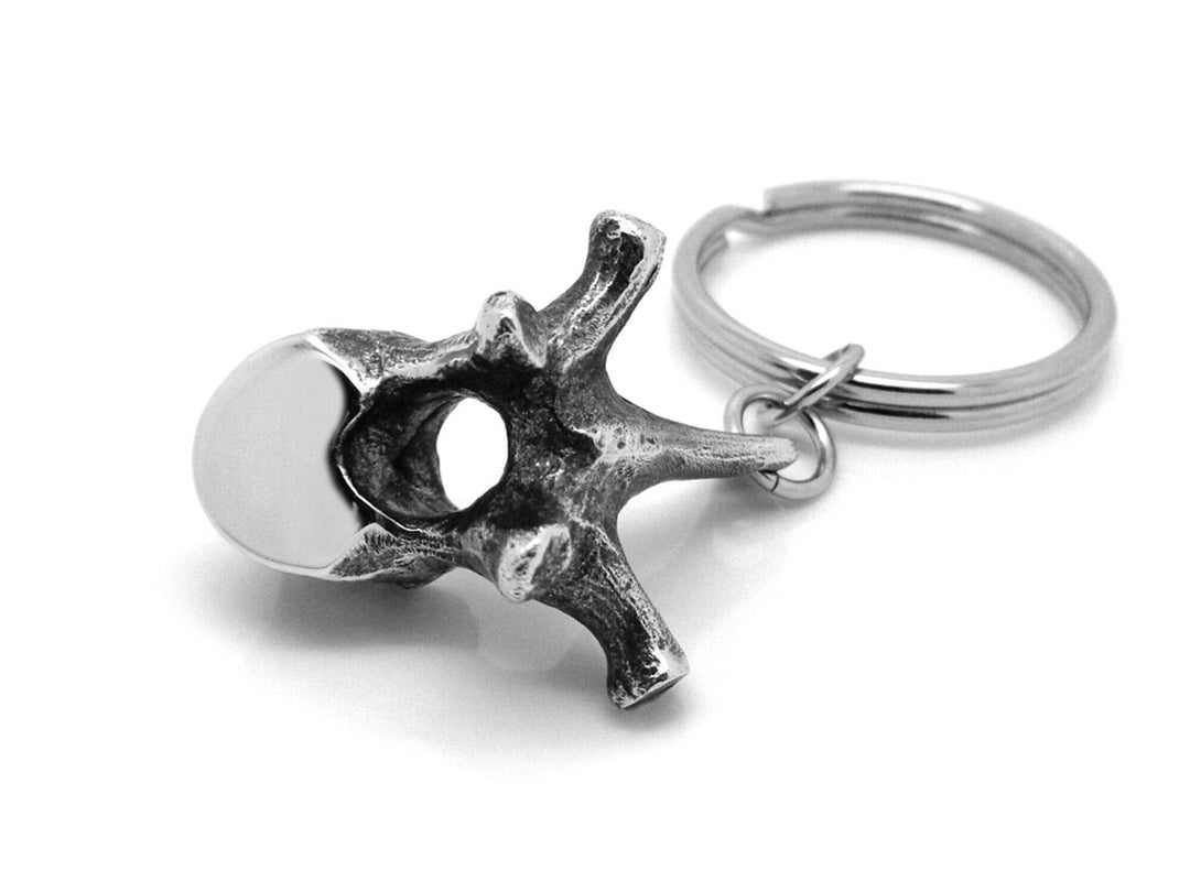 Human Vertebra Keychain in Pewter, Thoracic Anatomy, Chiropractor Gift ...