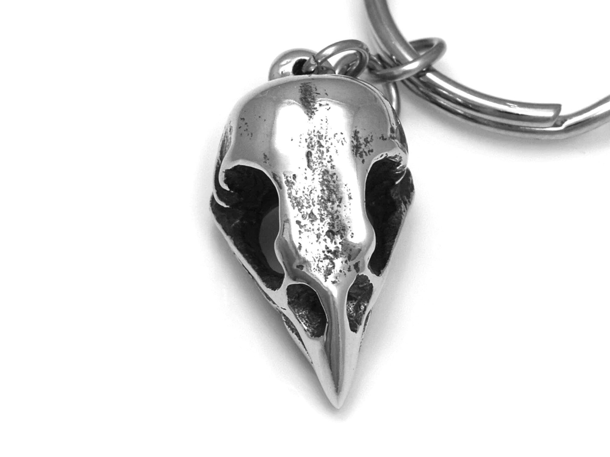 Sparrow Skull
