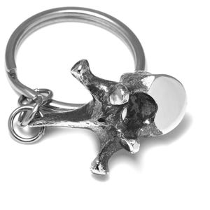 Human Vertebra Keychain in Pewter, Thoracic Anatomy, Chiropractor Gift ...
