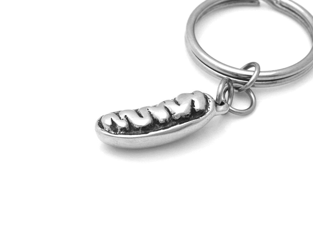Mitochondrion Keychain, Biology Science, Handmade Mitochondria Charm - Etsy