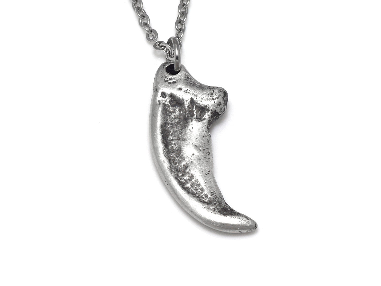 Komodo Dragon Claw Necklace Lizard Talon Pendant Reptile - Etsy