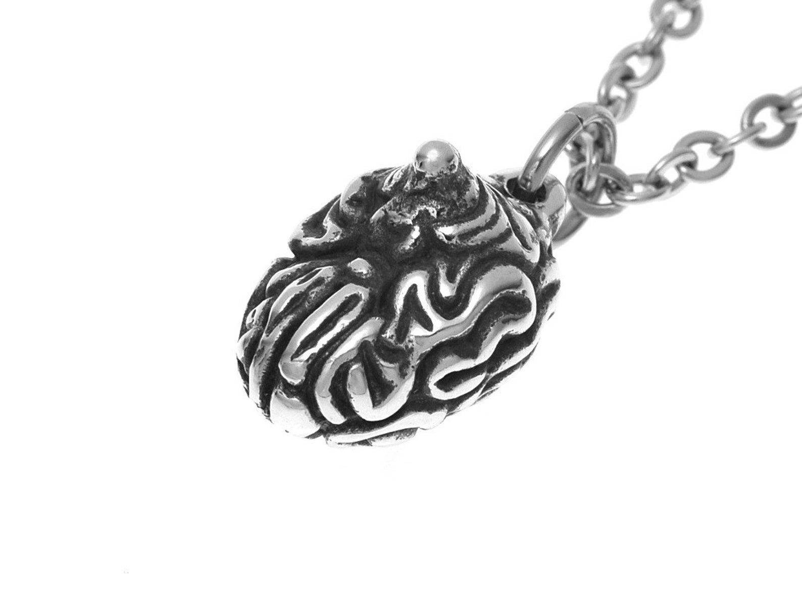 Small Brain Necklace, Human Anatomy Pendant Jewelry in Pewter - Etsy