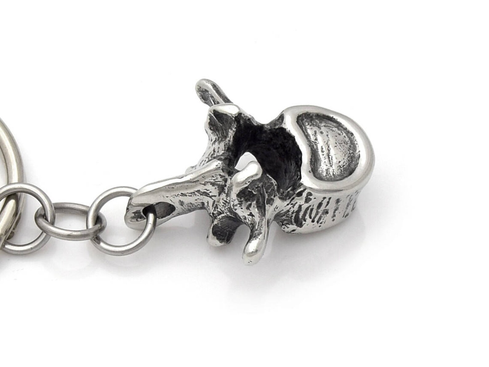 Handmade Lumbar Vertebrae Keychain in Pewter Scoliosis - Etsy