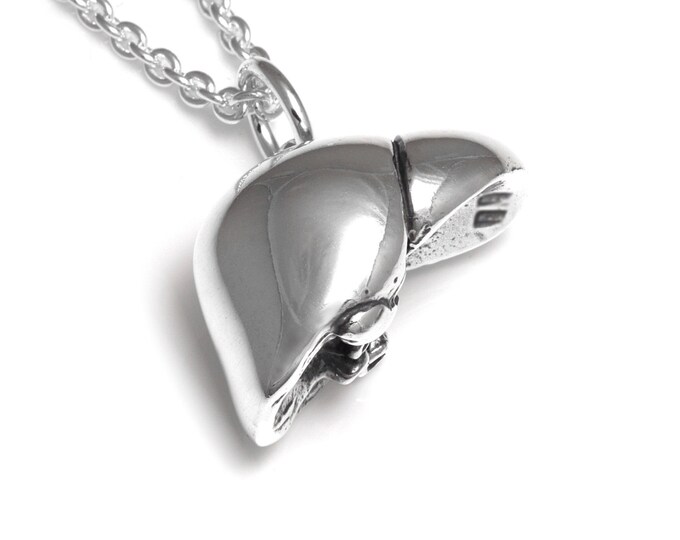 Sterling Silver Human Liver Necklace Handmade Organ Donor - Etsy