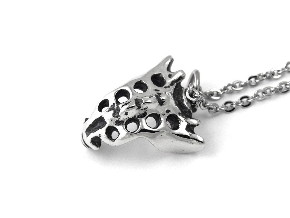 Anatomical Sacrum and Coccyx Necklace Anatomy Jewelry - Etsy