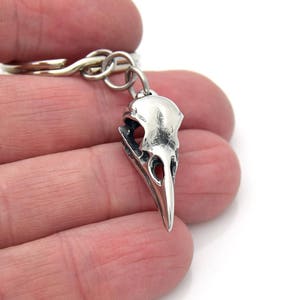 Raven Bird Skull Keychain Ornithology Charm Taxidermy Key - Etsy