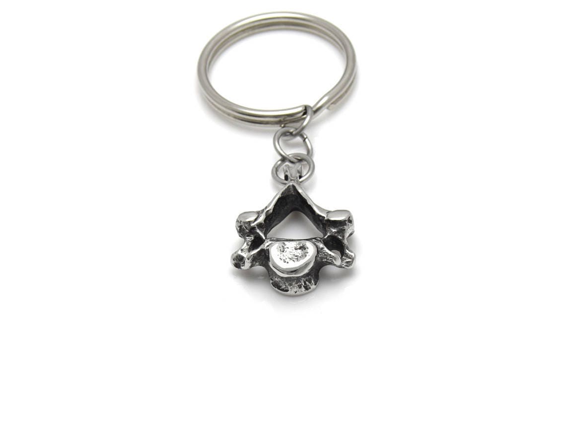 Human Cervical Vertebra Keychain Spine Bone Charm Key | Etsy