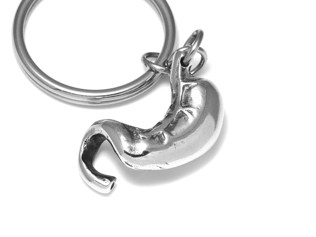 Human Stomach Keychain, Handmade Anatomy Keyring in Pewter - Etsy