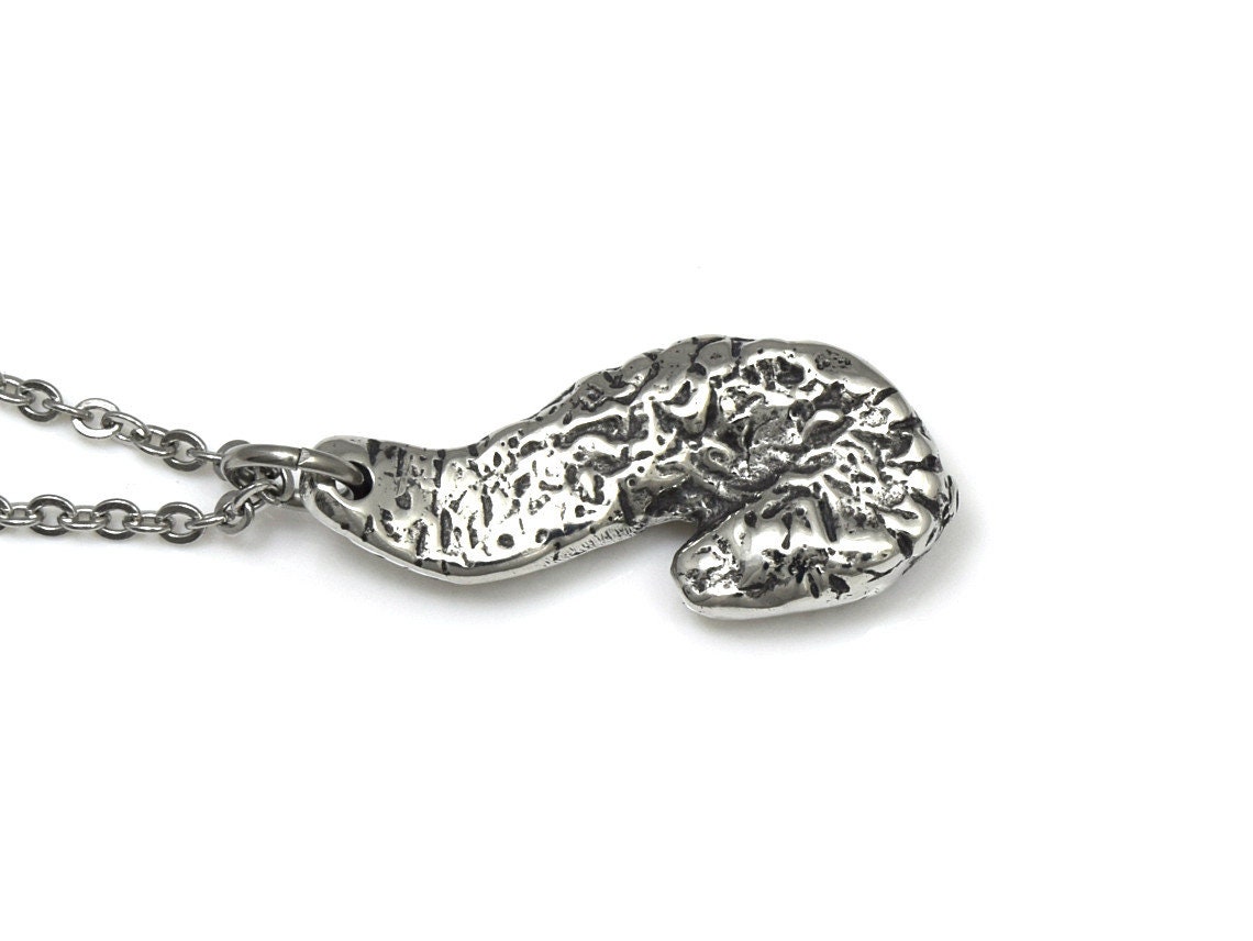 Anatomical Pancreas Necklace Digestive System Pendant - Etsy