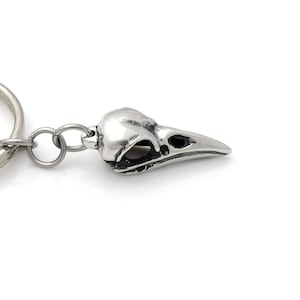 Raven Bird Skull Keychain Ornithology Charm Taxidermy Key - Etsy