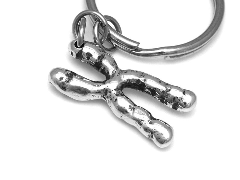 Pewter Chromosome Keychain, Genetic Science Key Ring Biology Genome DNA ...