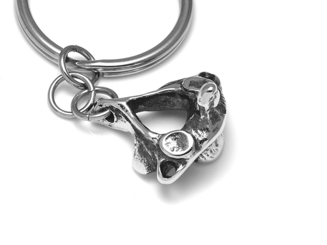 C2 Axis Vertebra Keychain, Handmade Human Bone Anatomy Keyring in ...