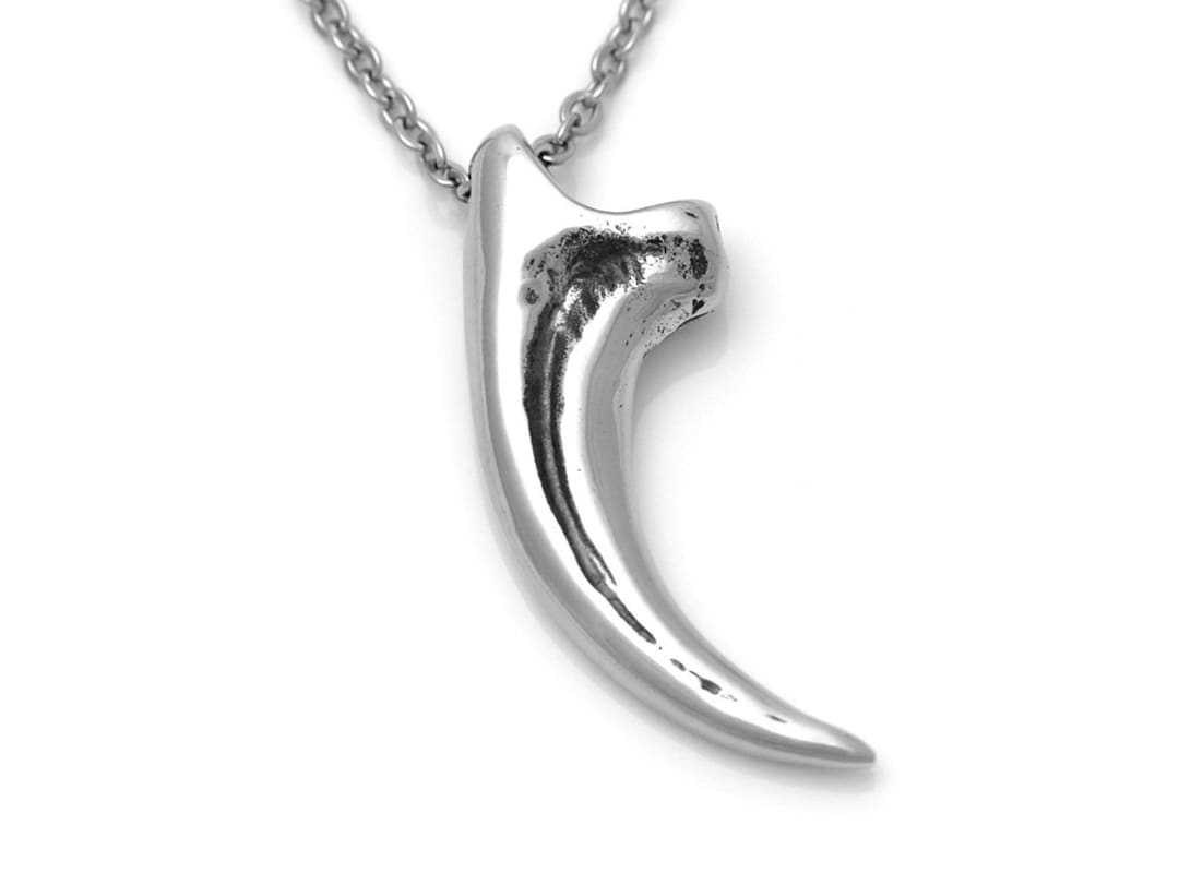 Velociraptor Claw Necklace, Dinosaur Raptor Pendant, Paleontology ...