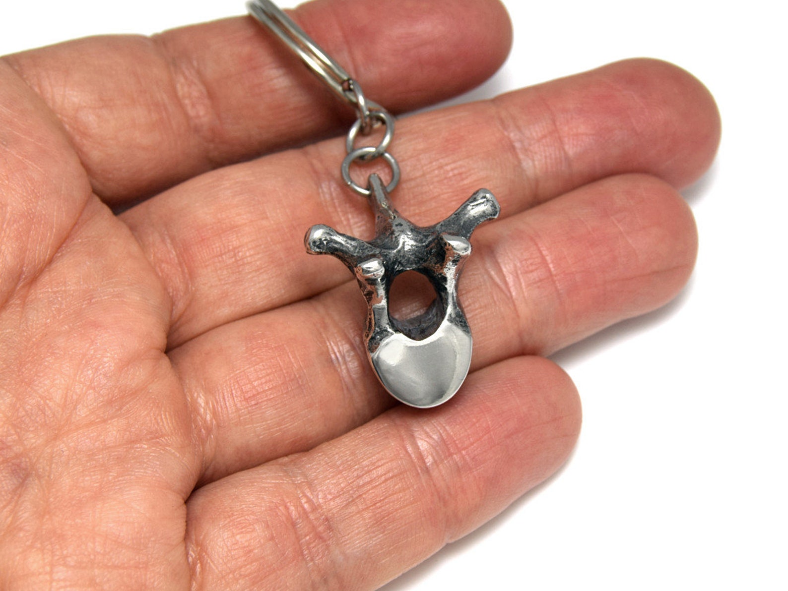 Human Vertebra Keychain in Pewter Thoracic Anatomy - Etsy
