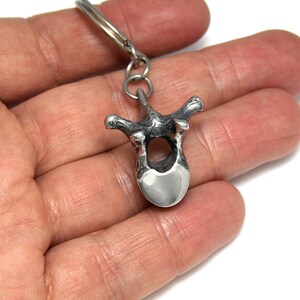 Human Vertebra Keychain in Pewter, Thoracic Anatomy, Chiropractor Gift ...