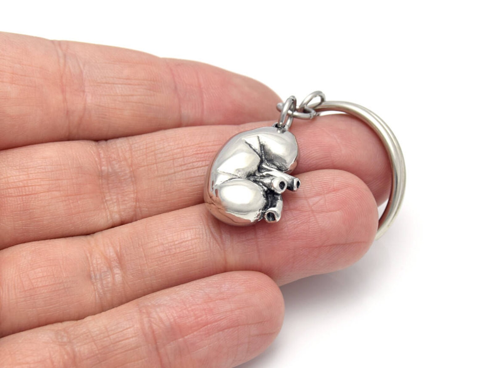 Handmade Kidney Charm Keychain Human Anatomy Renal | Etsy