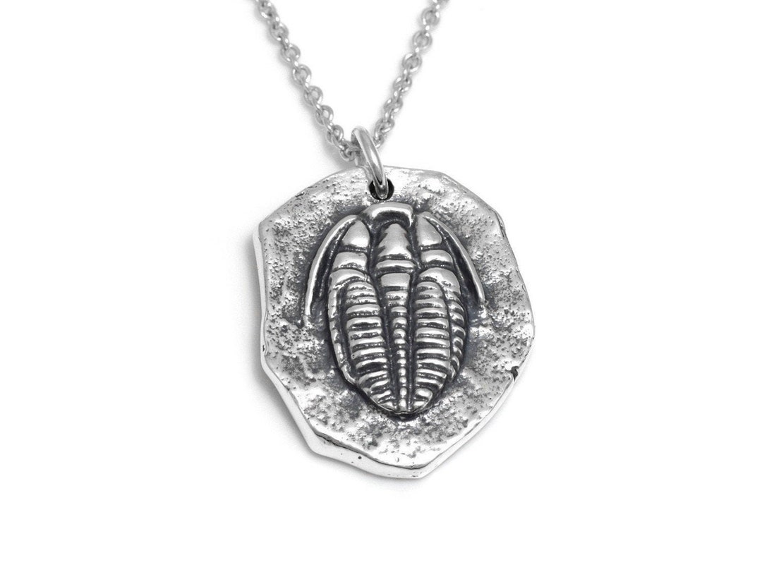 Sterling Silver Trilobite Necklace Geology Jewelry Fossil - Etsy