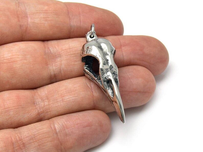 Crow Bird Skull Pendant Necklace in Pewter on Stainless Steel - Etsy