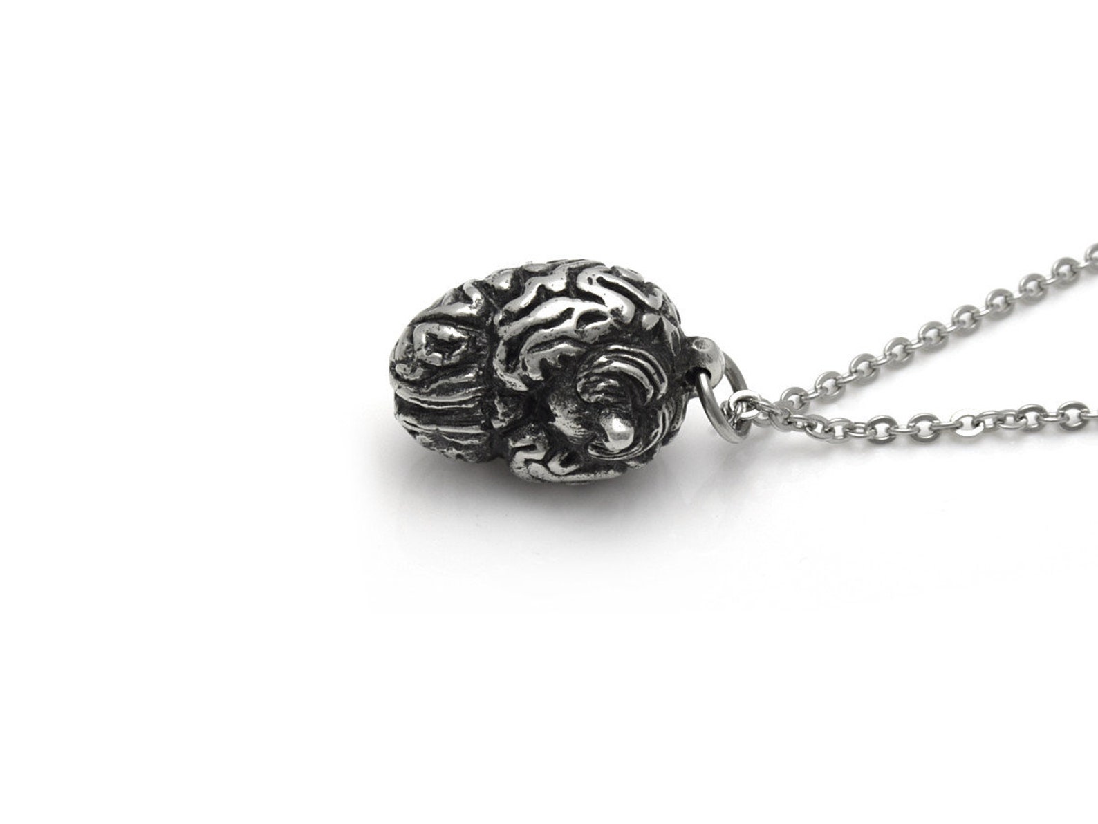 Human Brain Necklace Psychologist Jewelry Neurology Pendant - Etsy
