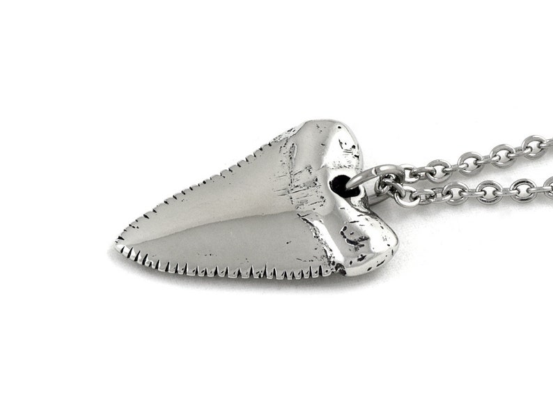 Great White Shark Tooth Necklace Ocean Animal Pendant Sea - Etsy