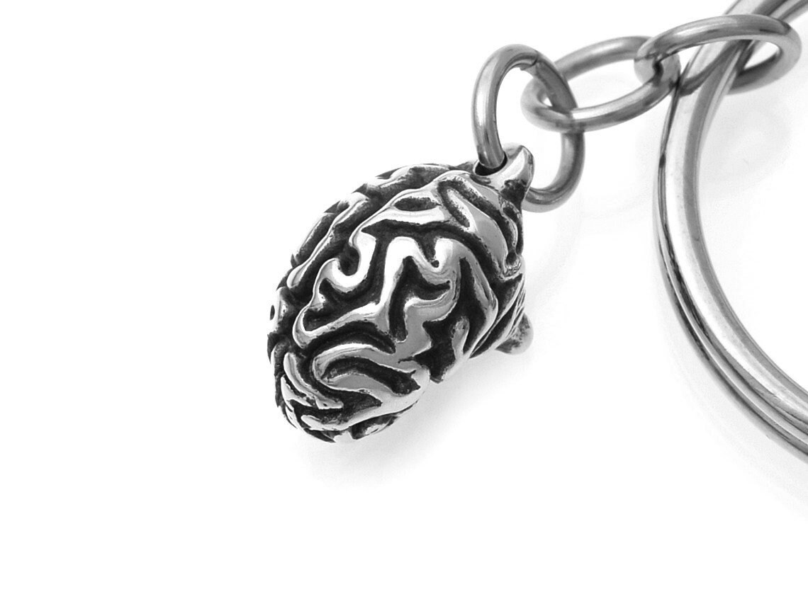 Small Human Brain Keychain Anatomical Keyring in Pewter - Etsy
