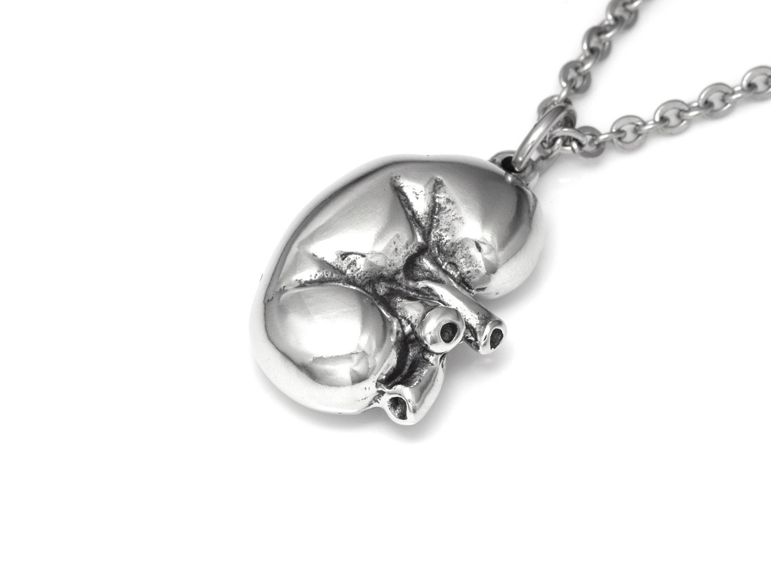 Anatomical Kidney Necklace, Handmade Human Renal Anatomy Pendant - Etsy