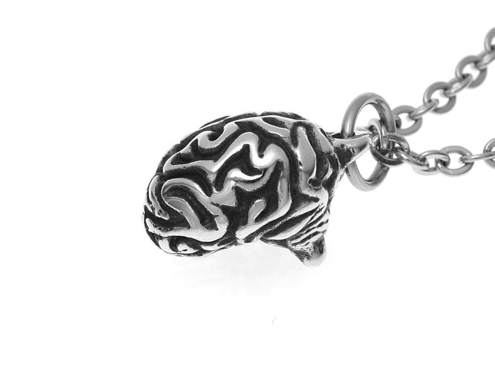 Small Brain Necklace Human Anatomy Pendant Jewelry in Pewter - Etsy