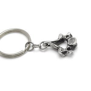 Human Cervical Vertebra Keychain, Spine Bone Charm Key Accessorie. - Etsy